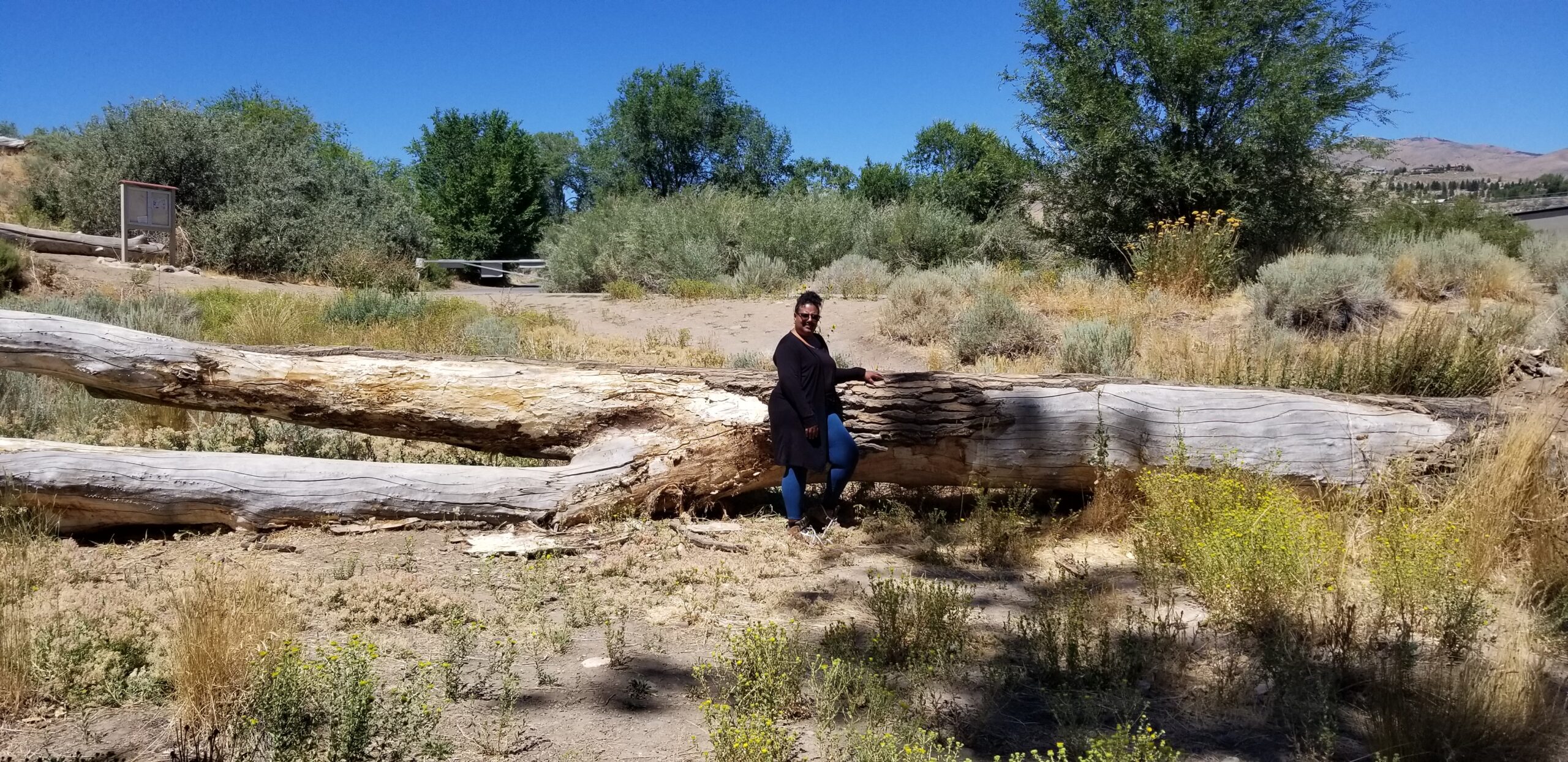 Reno, Nevada – 50 States and 7 Continents